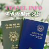 여권 재발급 갱신 방법 비용 가격 온라인 신여권 신청 방법 준비물 기간 총정리 네이버 블로그